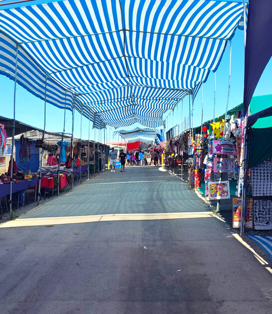 enormous washington flea markets ftr