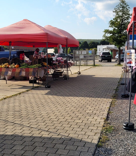 farmers market vermont bargain ftr
