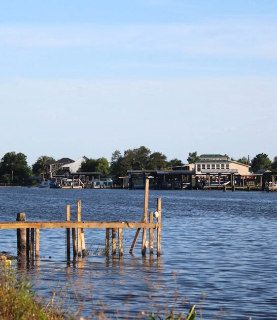 fishing town louisiana nature ftr