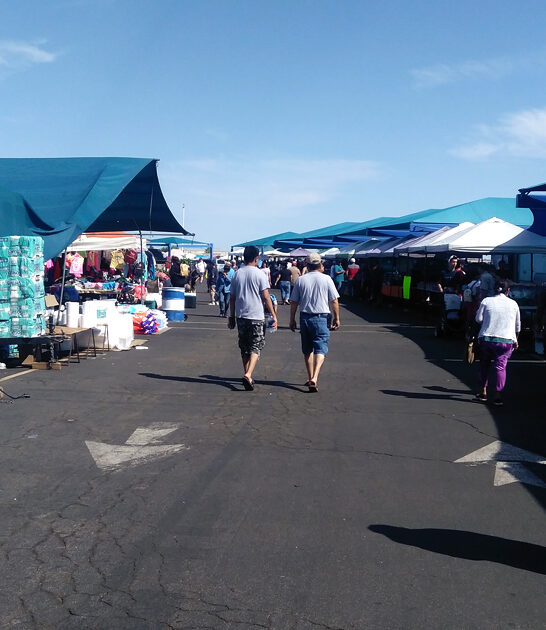 flea market dreams arizona ftr
