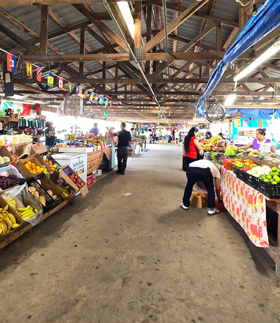 flea market georgia promo ftr