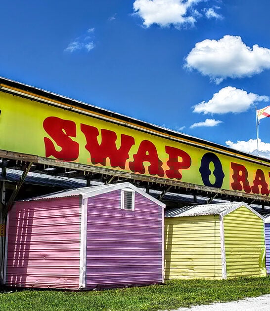 florida massive wonderland treasures ftr