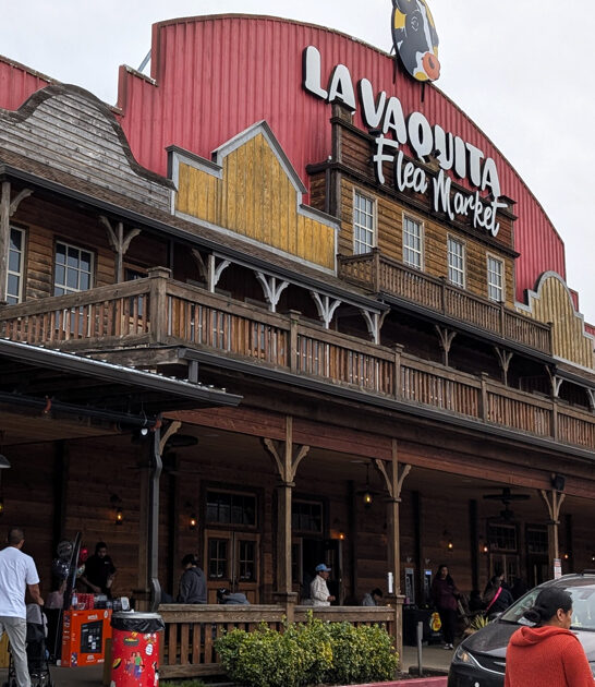 georgia economic flea market ftr