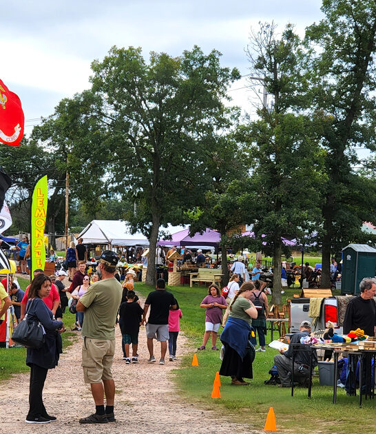 gigantic flea wisconsin market ftr