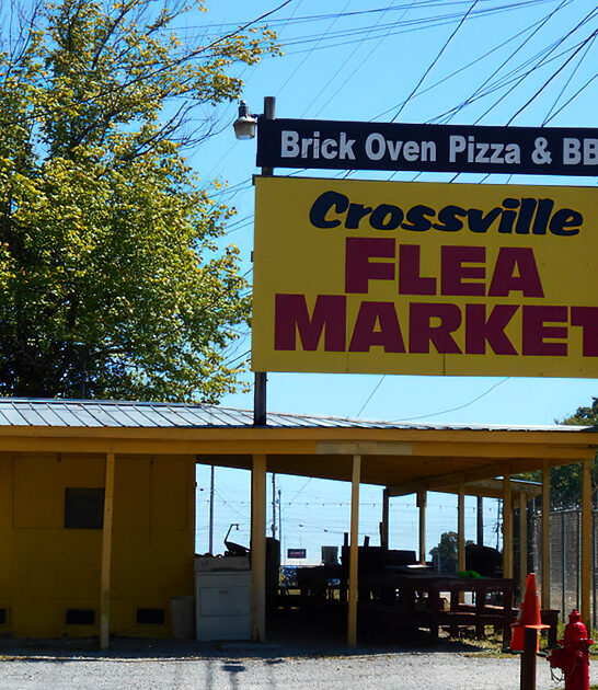 gigantic market wondrous tennessee ftr