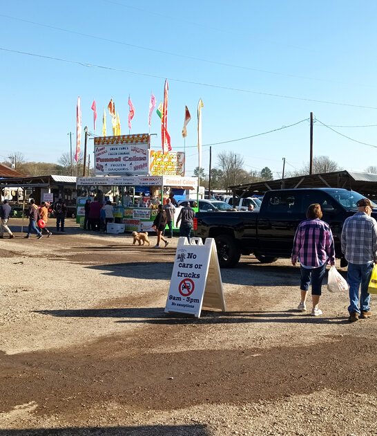 gigantic mississippi flea market ftr