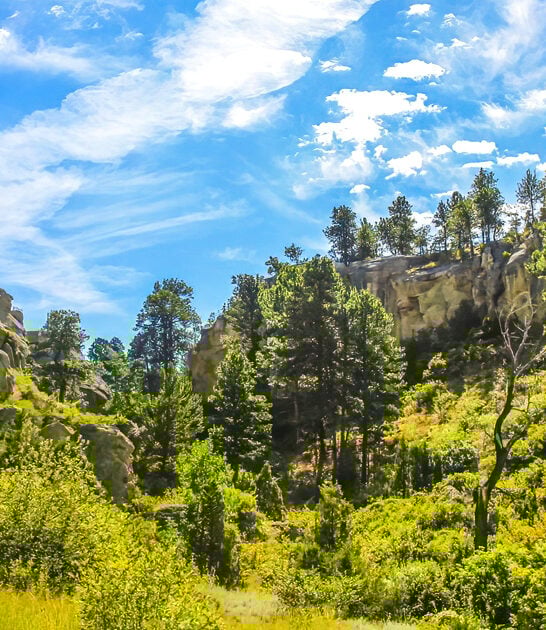 gorgeous montana hidden park ftr