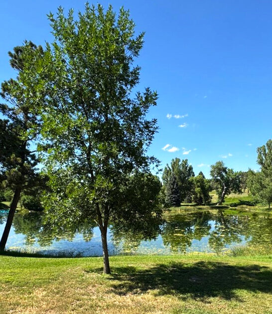 gorgeous nebraska state park ftr