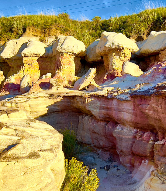 gorgeous park colorado ftr