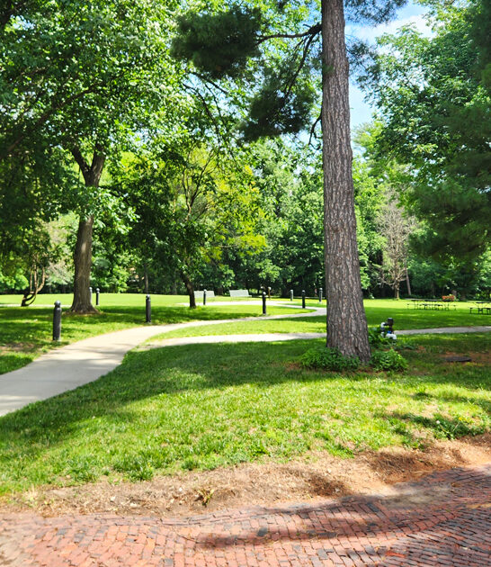 gorgeous park nebraska postcard ftr