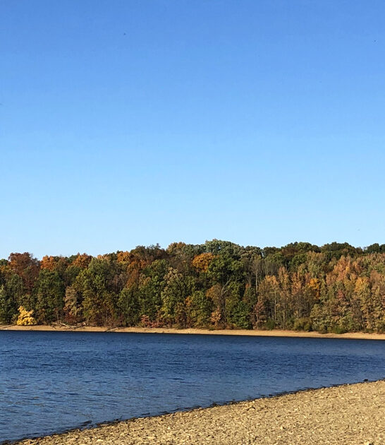 gorgeous park state pennsylvania ftr