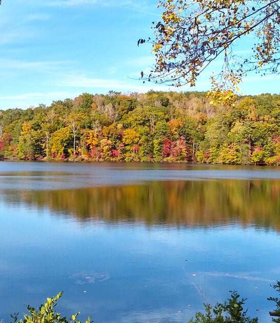 gorgeous park virginia trips ftr