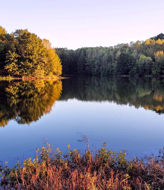 gorgeous secret illinois park ftr