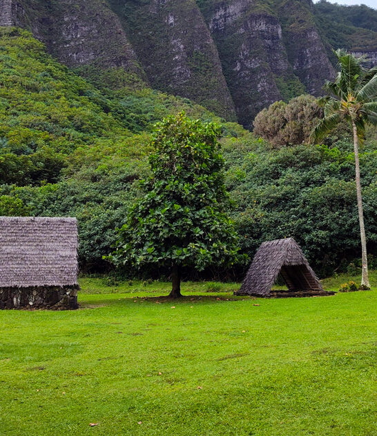 gorgeous state park hawaii ftr