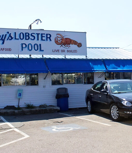 hampshire seafood best new ftr