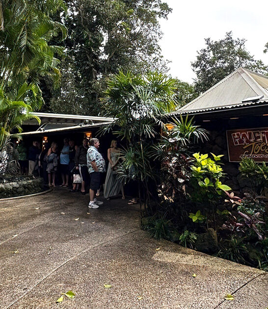 hawaii new york strip ftr