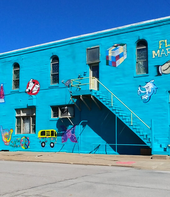 iowa bargain market flea ftr