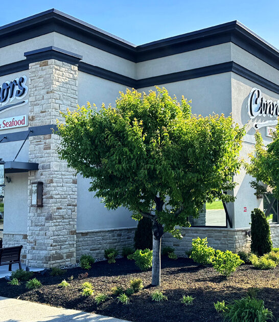 kentucky fried green tomatoes ftr