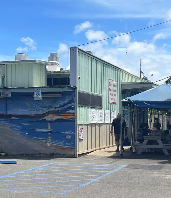 loco moco hawaii roadside ftr