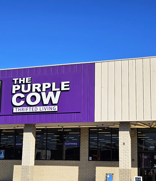 louisiana enormous bargain store ftr