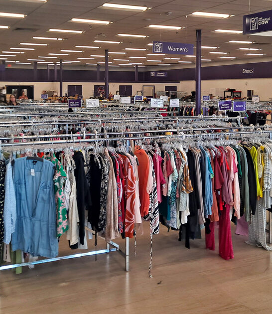 louisiana enormous thrift haven ftr