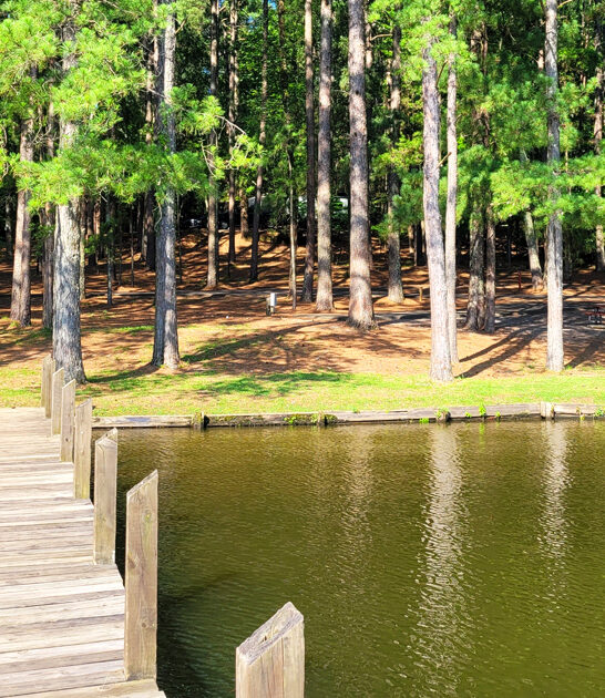 louisiana state park dream ftr