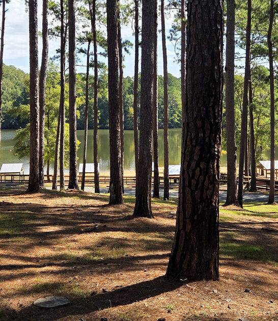 louisiana state park getaway ftr