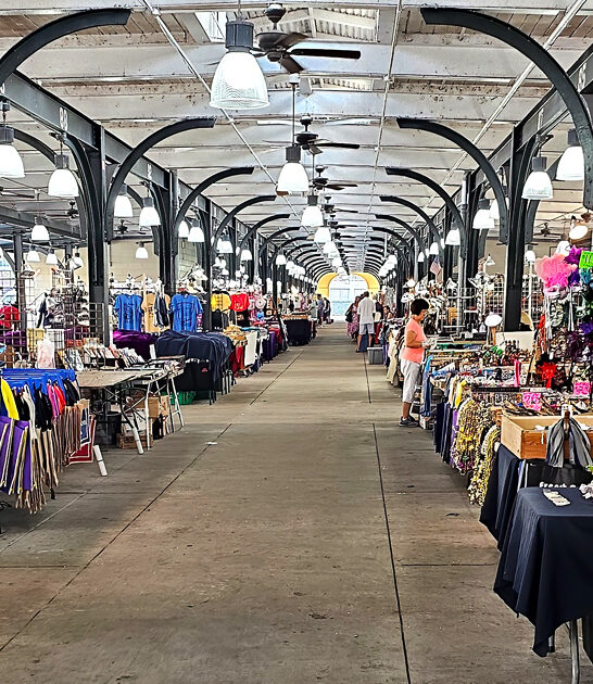 louisiana thrifty market treasures ftr