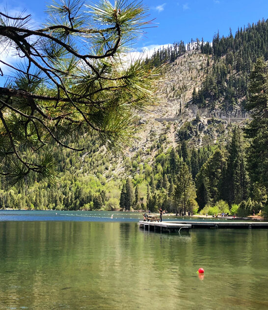 lowkey perfect california nature ftr