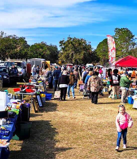 market cheap florida flea ftr