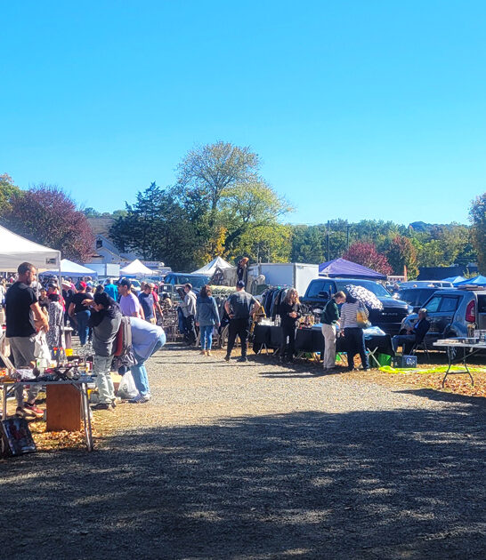 market connecticut backseat bargains ftr