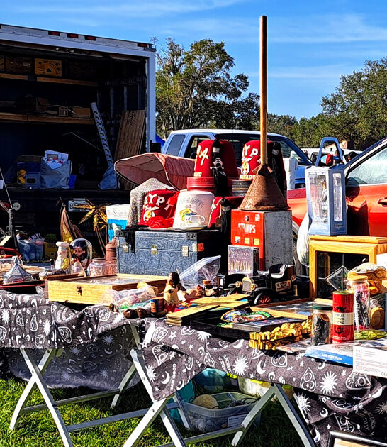 market worthy florida flea ftr