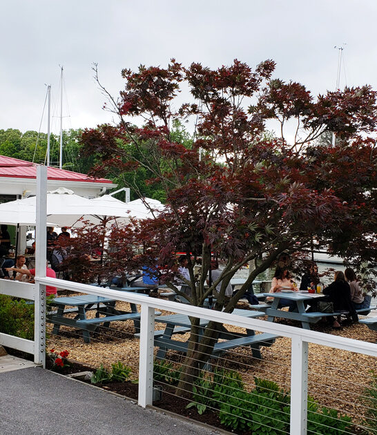 maryland shacks crab cakes ftr