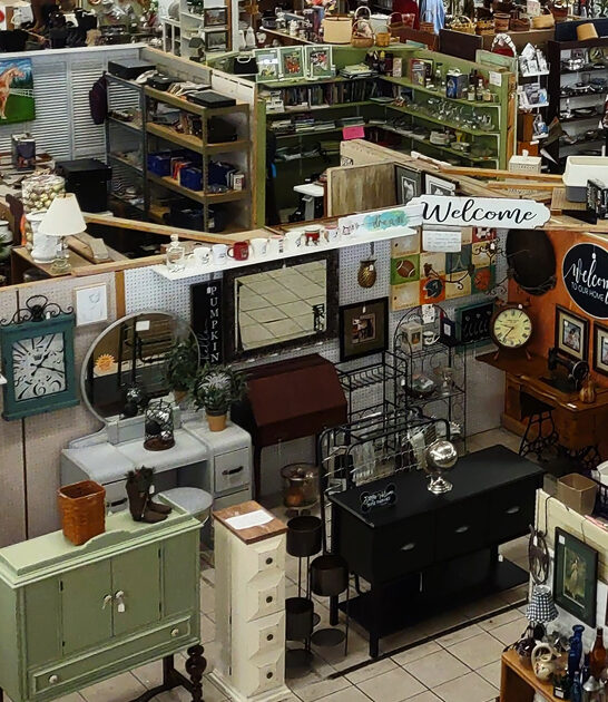 massive flea kentucky markets ftr