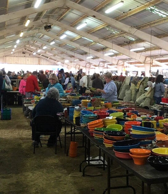 massive flea tennessee goes ftr