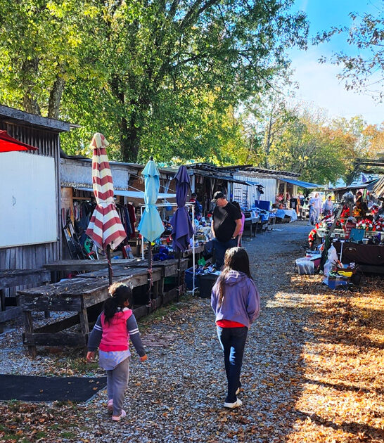 massive market tennessee wondrous ftr