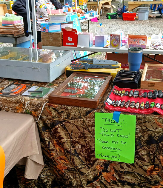 massive outrageous deals michigan ftr