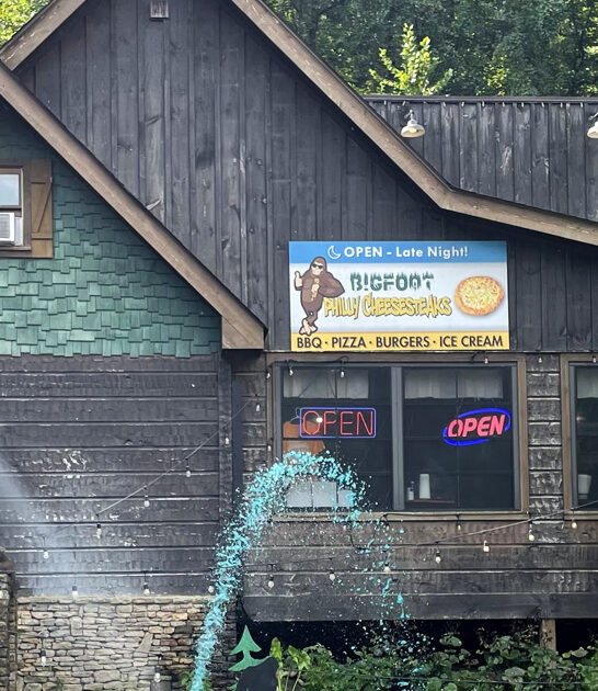 massive sandwiches restaurant tennessee ftr