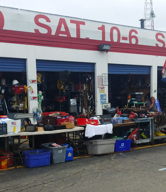 massive wild bargains michigan ftr