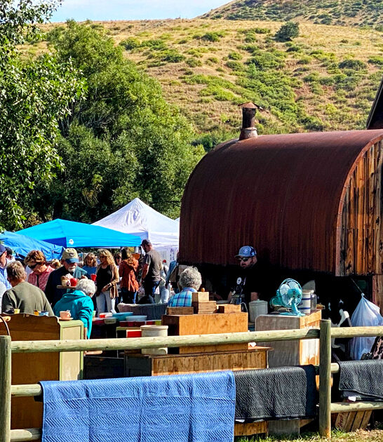 massive wyoming bargains market ftr