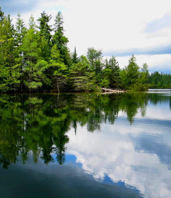 michigan gorgeous peaceful park ftr