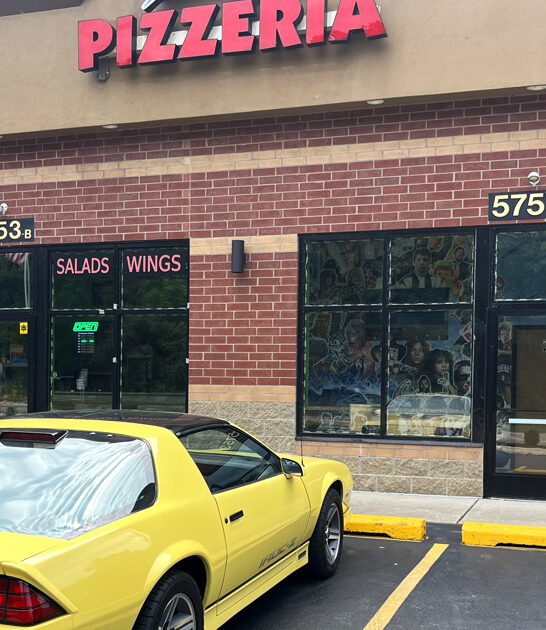 michigan restaurants delicious pizza ftr