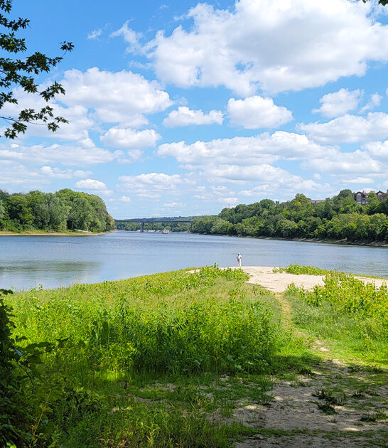 minnesota park stress relief ftr