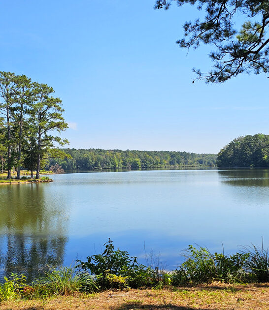 mississippi park stunning serene ftr