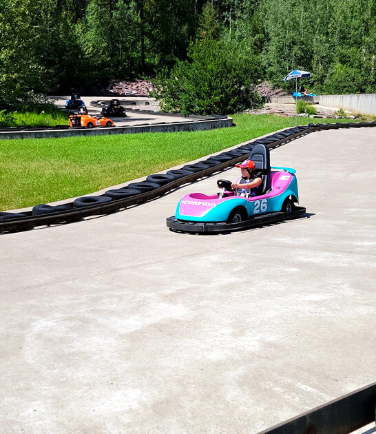 montana go kart racing ftr