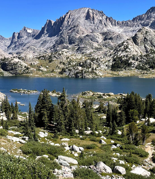 national forest wyoming feels ftr