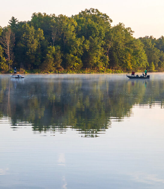 naturelovers dreamy park kentucky ftr