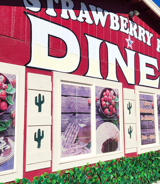 nevada delicious food diner ftr