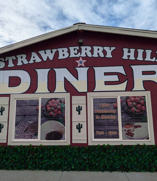 nevada diner best breakfast ftr
