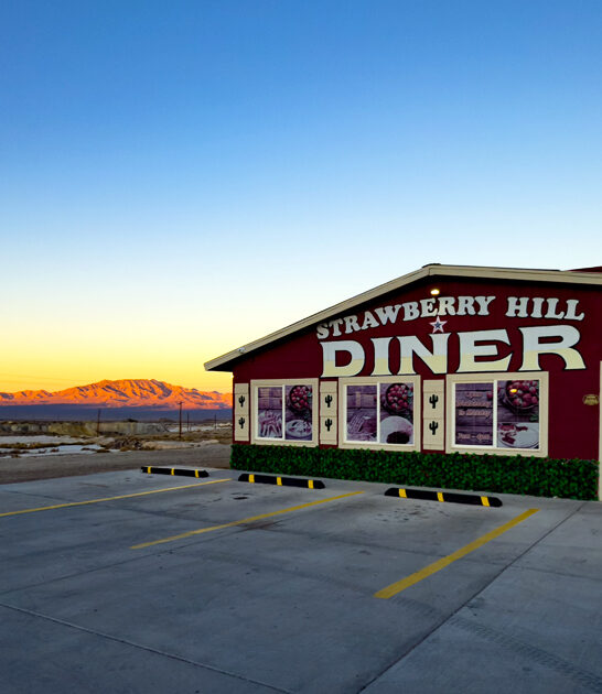 nevada diner strip steak ftr